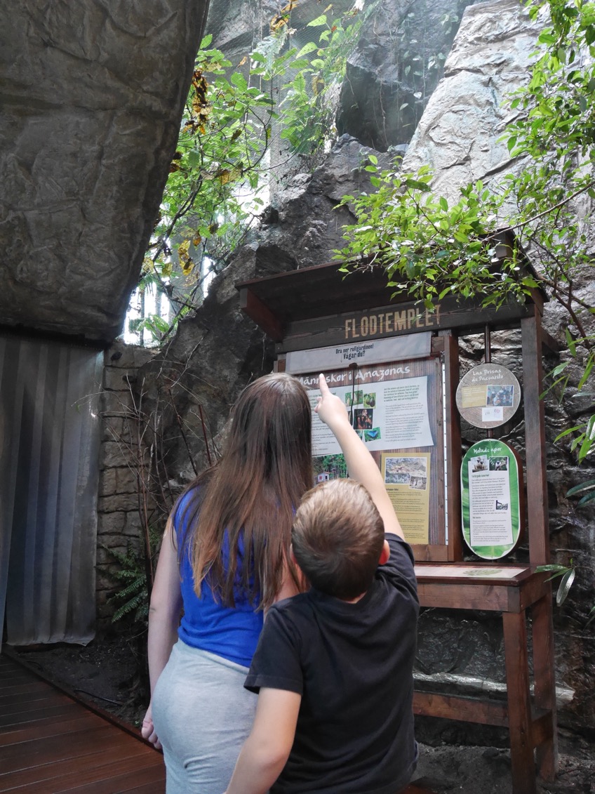 Universeum Nordens största science center, Universeum