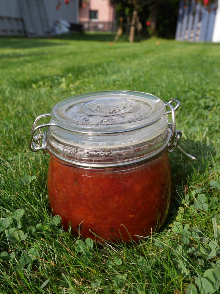 Sylta och safta, recept hemgjord sylt, drottningsylt, plommonsylt