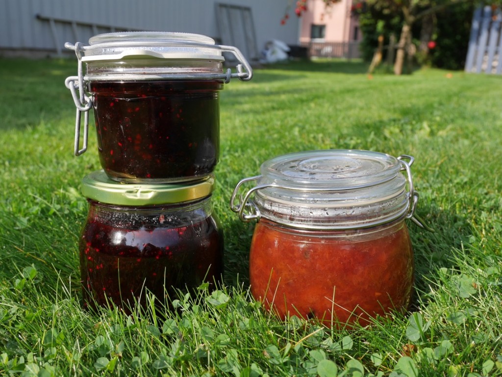 Sylta och safta, recept hemgjord sylt, drottningsylt, plommonsylt